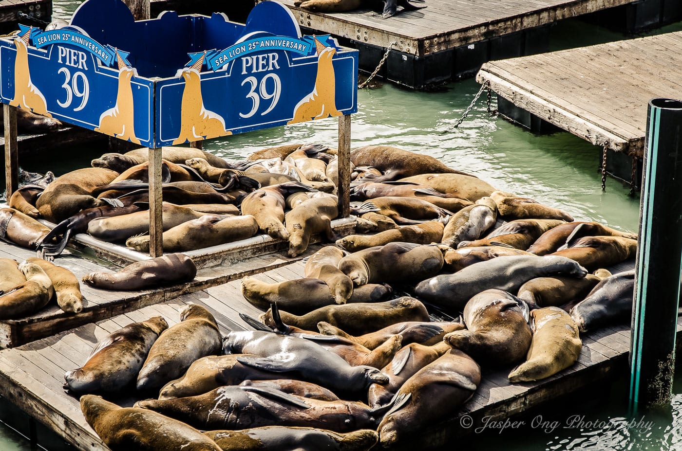 Jasper Ong | Pier 39 | Jasper Ong Travel Photography Blog